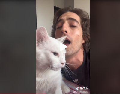 Maneskin, Damiano canta il nuovo singolo con il gatto - ecco il video ...